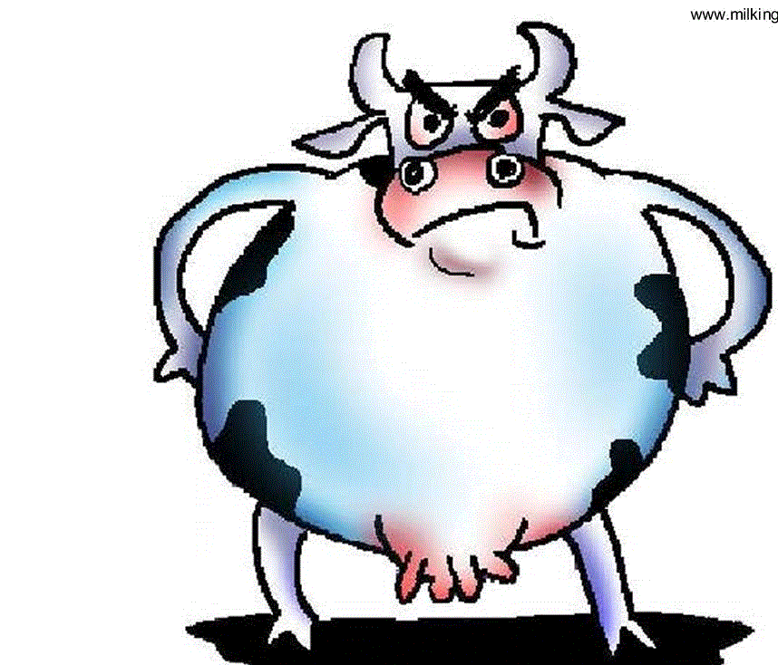 Angry Cow gif by iKewl | Photobucket